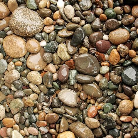 Muck Control - The Pond Guy