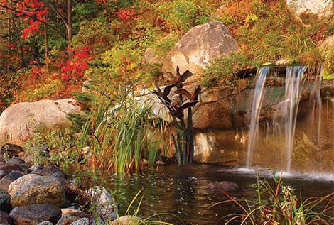 Seasonal Pond Maintenance - The Pond Guy