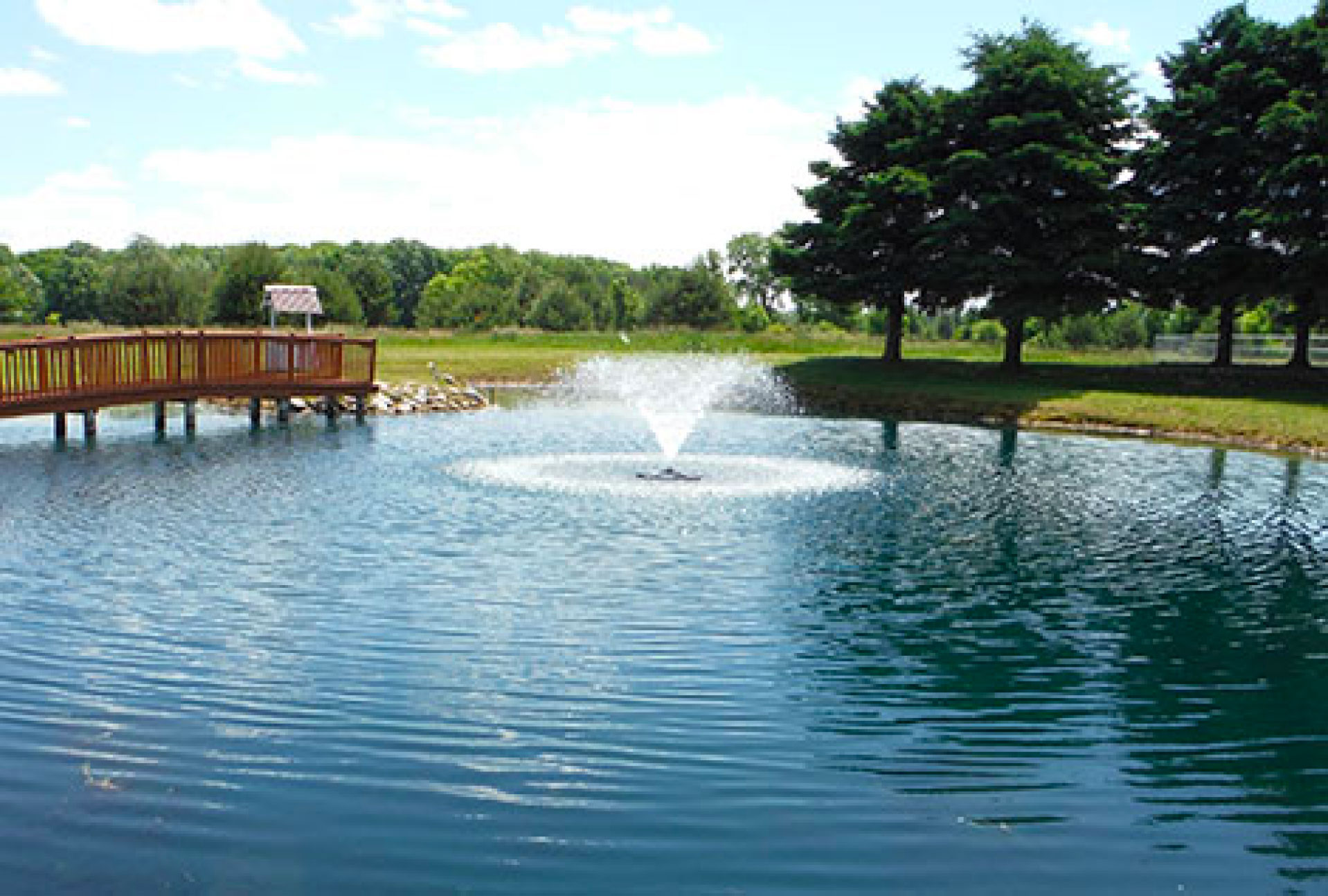 Pond & Lake 101 - The Pond Guy