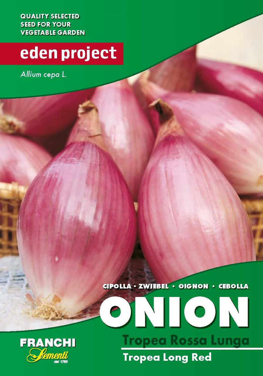 Red Onion ‘Tropea Rossa Lunga’ - Allium cepa