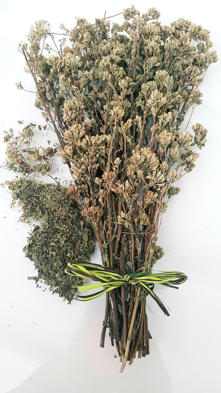 Ghiglione Ligurian Dried Origano Branch