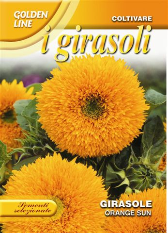 Sunflower Orange sun