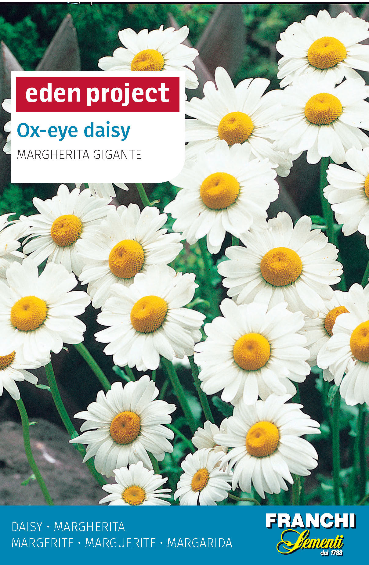 Vegetable seeds & Bulbs - Eden Project Seed Range - Franchi Seeds 1783