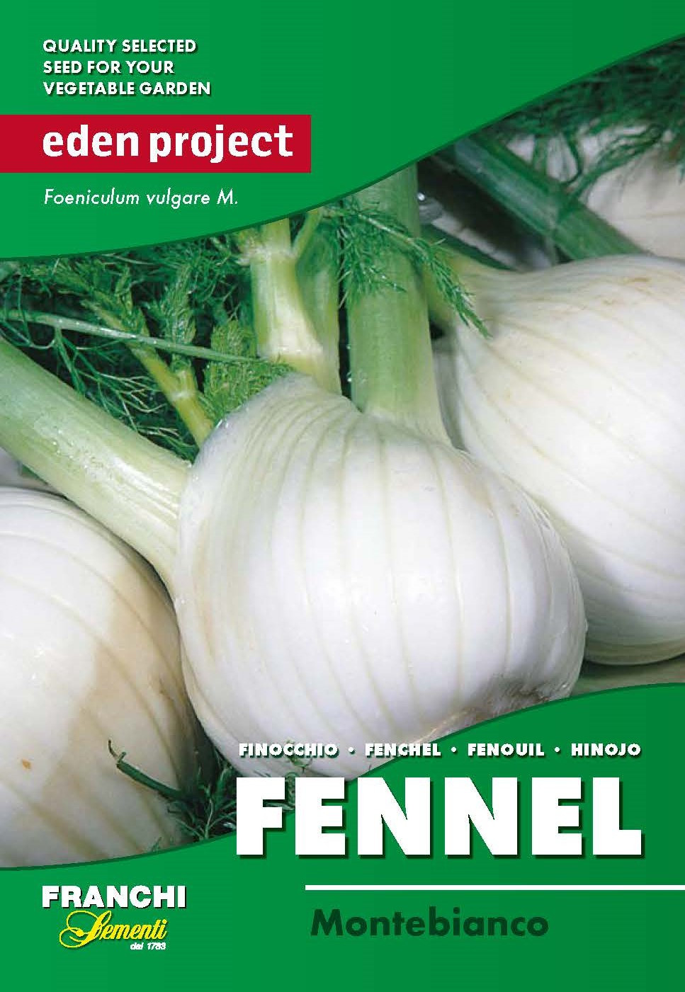 Wild fennel - Finocchio selvatico