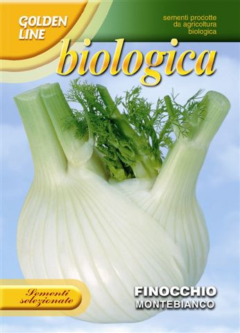 Wild fennel - Finocchio selvatico