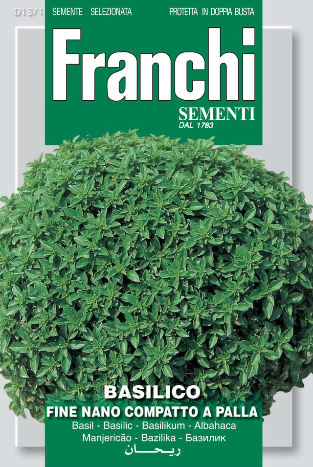 Basil Al Limone - Lemon basil