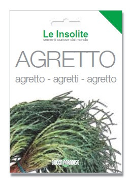 Agretti / Roscano / Barba Di Frate 10g Packet also Ideal for Indoor ...