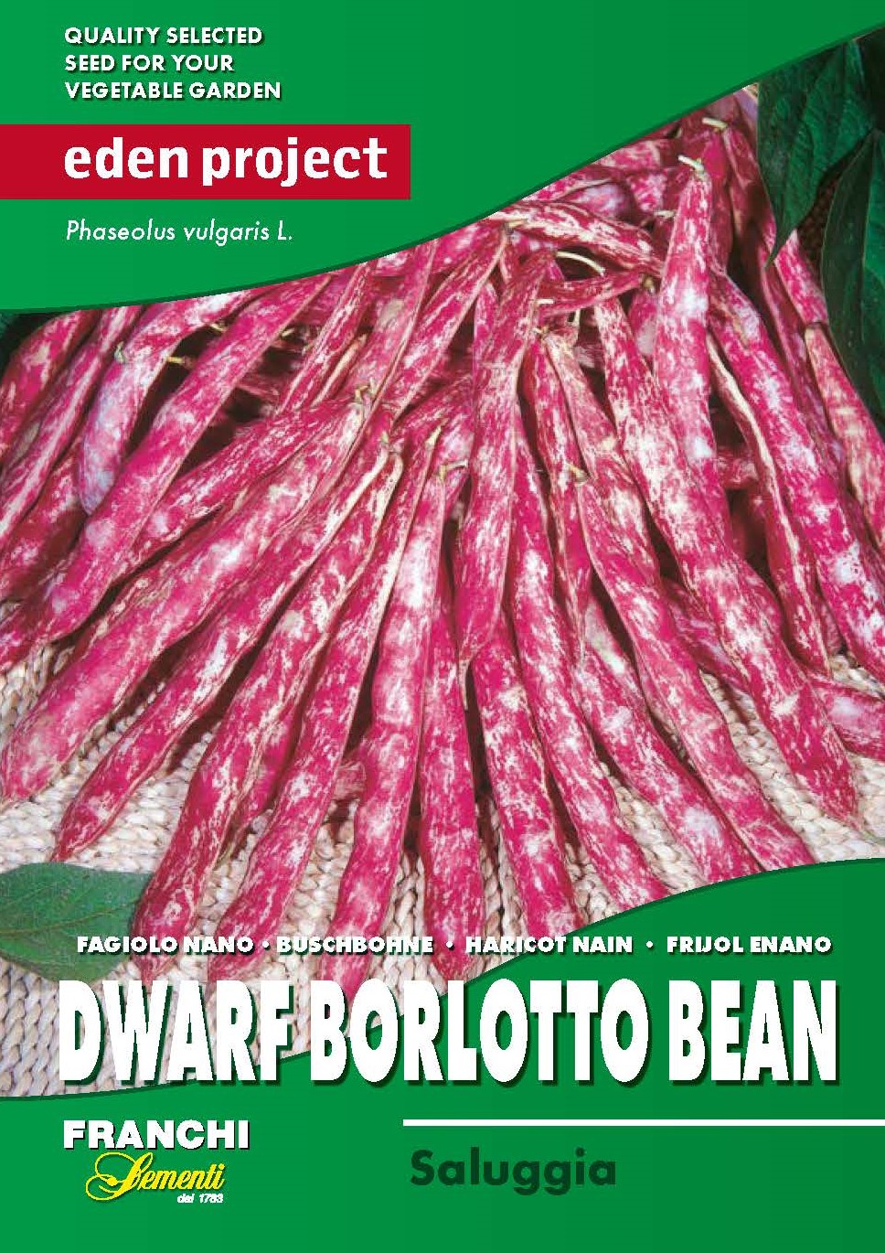 Borlotto Bean ‘Saluggia’ - Phaseolus vulgaris