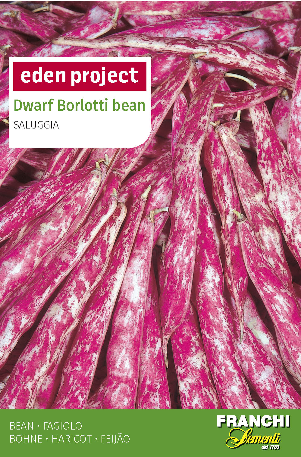 Borlotto Bean ‘Saluggia’ - Phaseolus vulgaris