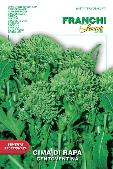 Cima Di Rapa 120 centoventina - Best Quality