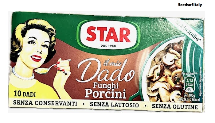 Star Italian Stock Cubes PORCINI Mushroom 10 x 10g *Gluten & Lactose Free*