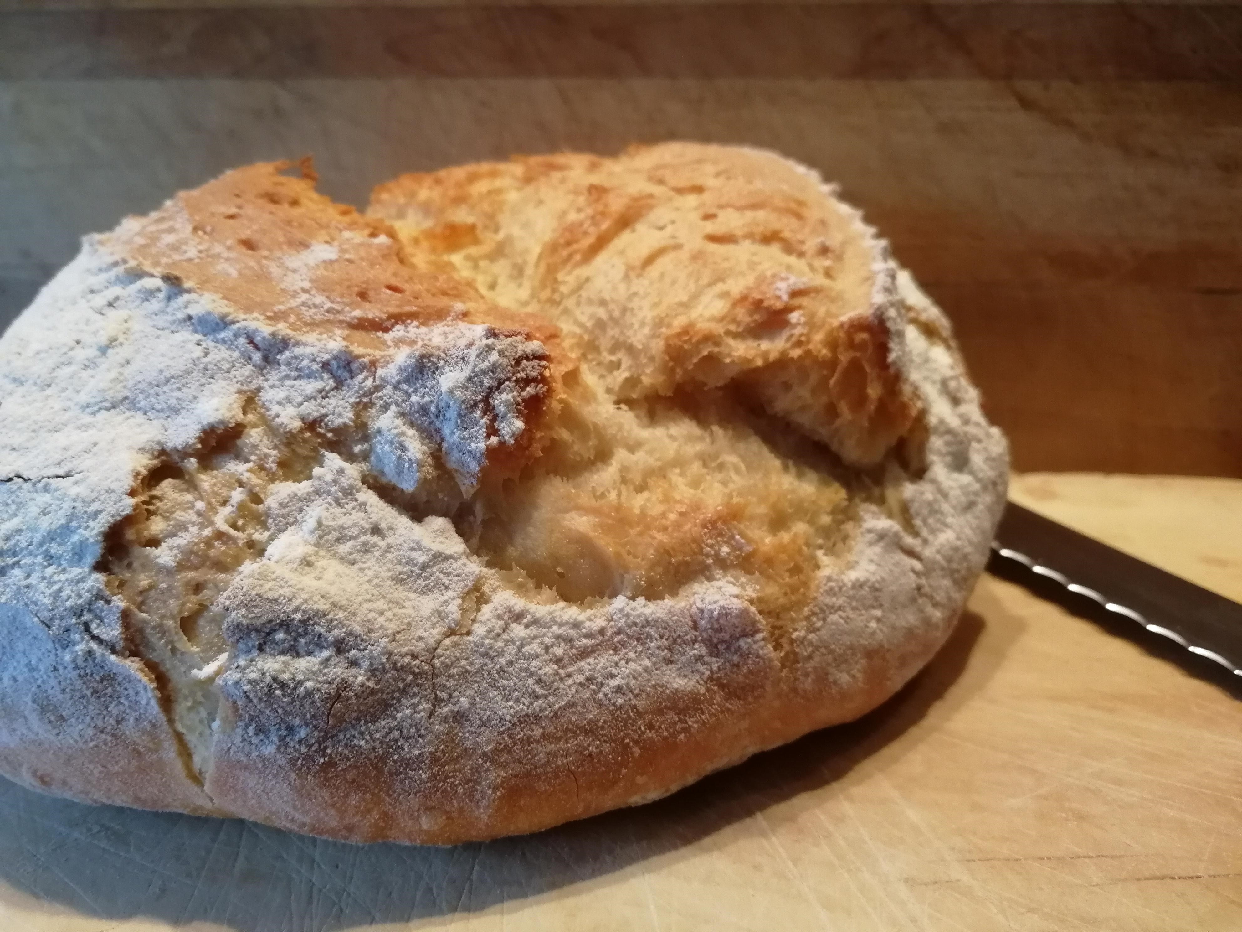 Organic Alaskan 100 year old Sourdough Starter Culture