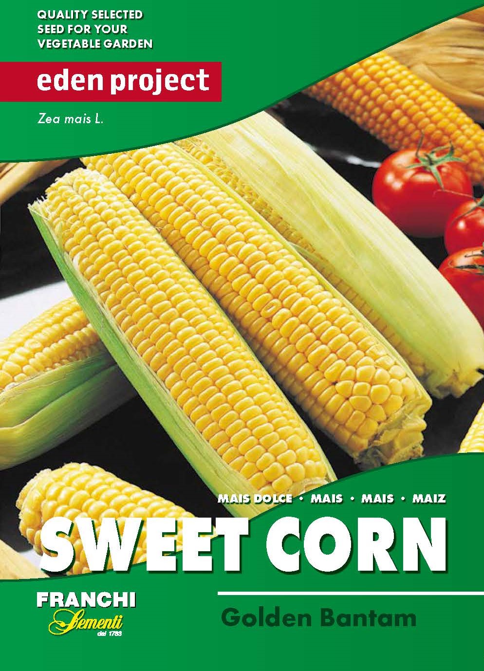 Mais Sweetcorn Zuccherino