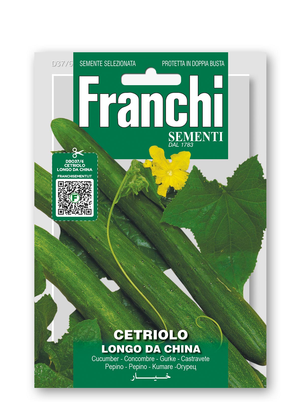 Cucumber long de China