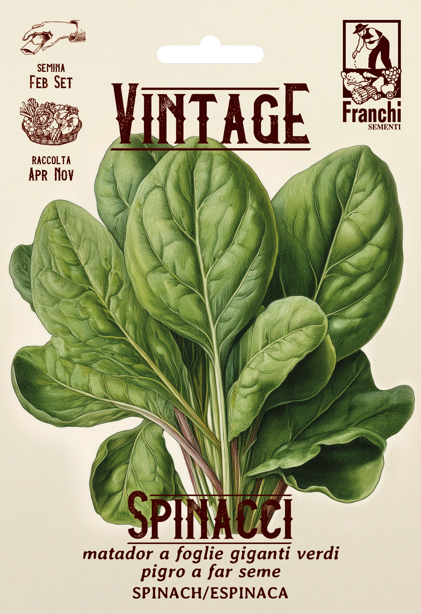 Vintage Spinach Matador a Foglie Gigante Verdi Pigro a Far Semi