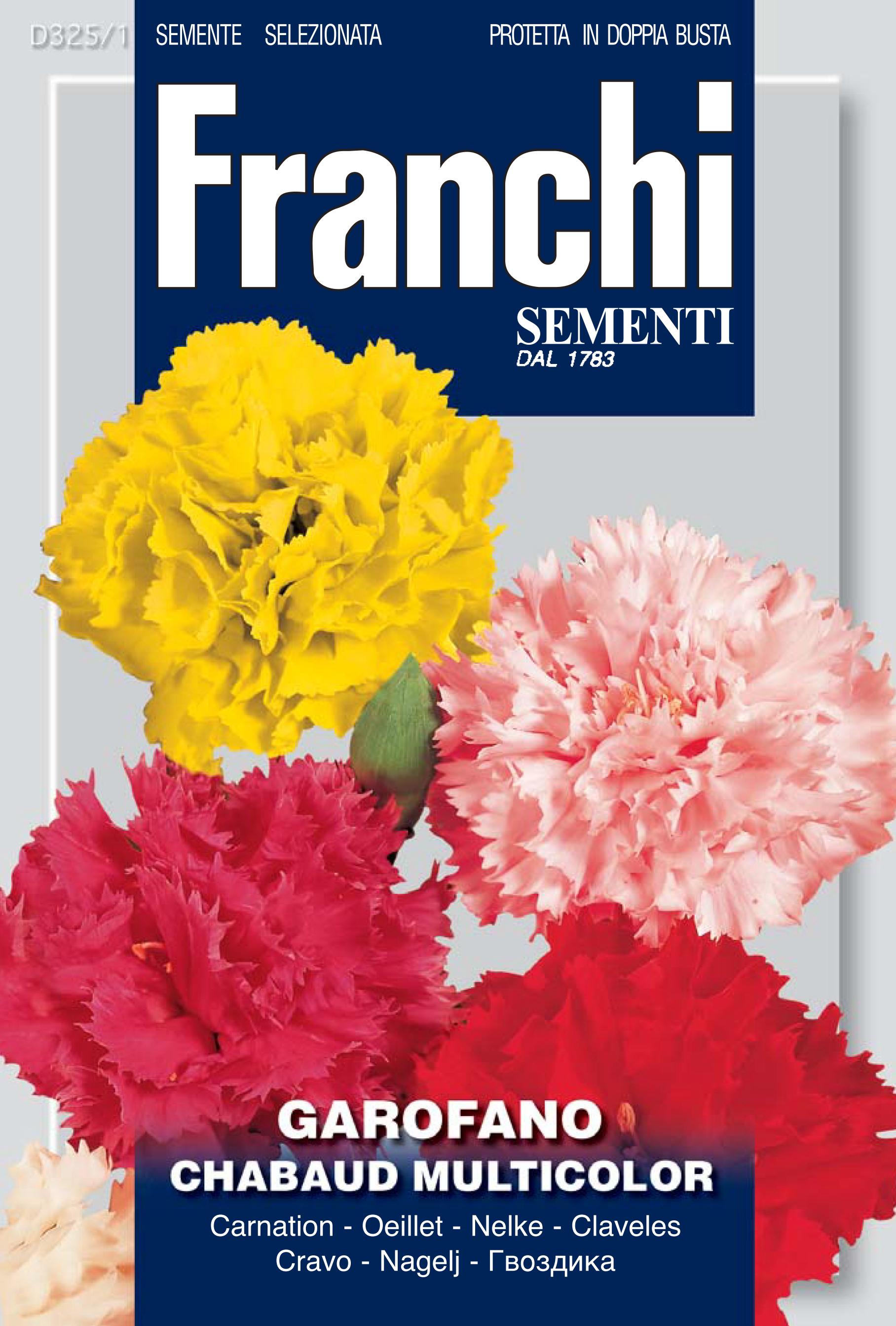 Carnation - Garofano Chabaud Multicolor