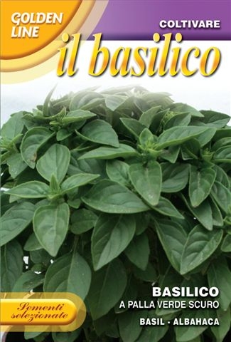 Basil Bascuro A Palla Verde Scuro