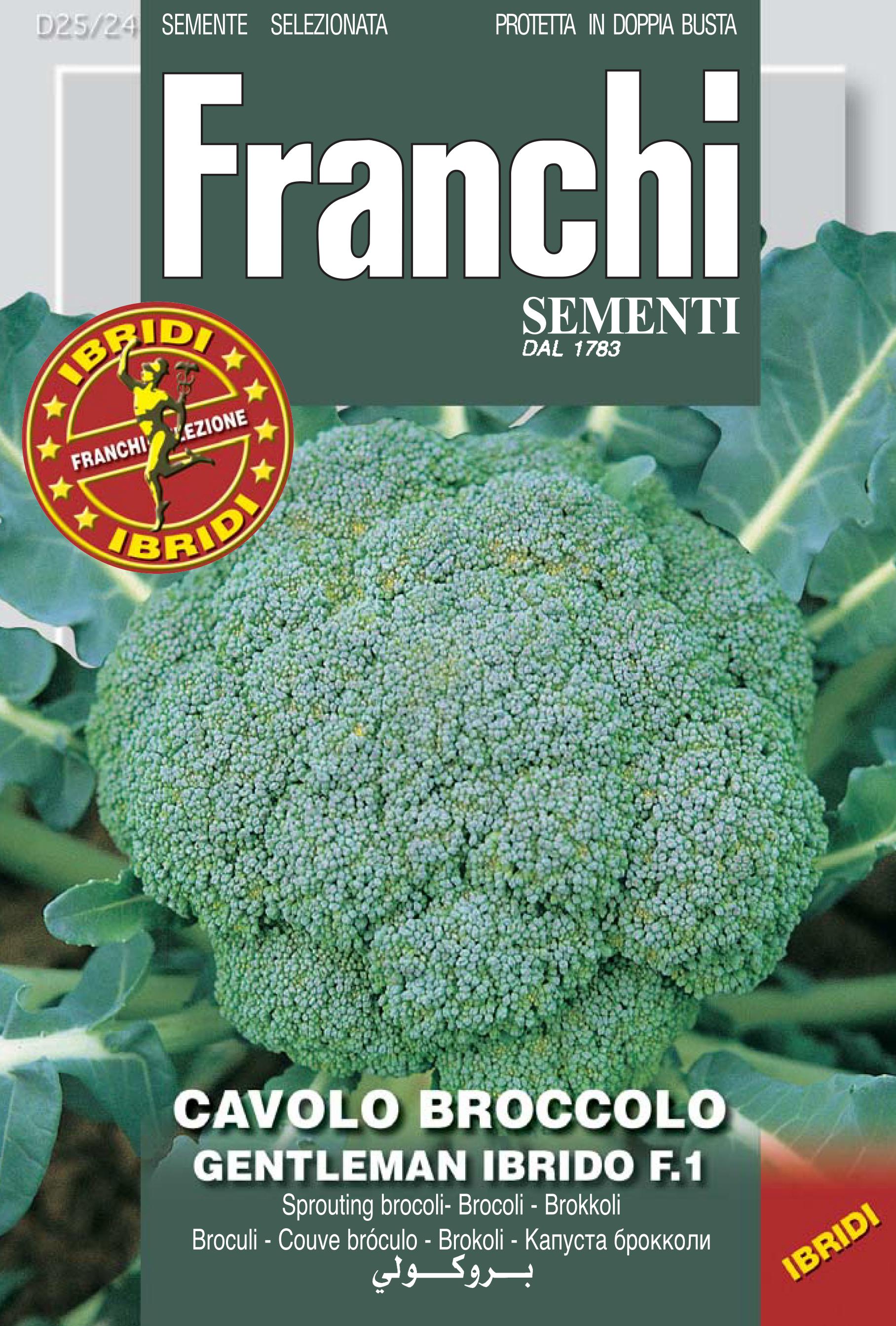 Broccoli Greenbow / ex-Gentleman F1