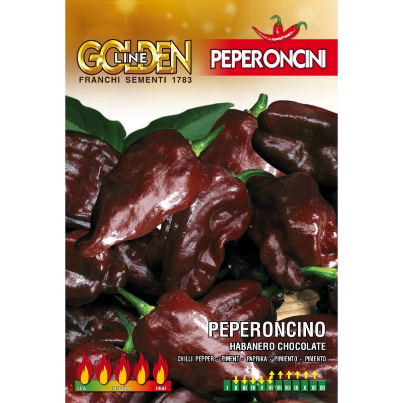 Chilli Pepper Chocolate Habanero (A) Capsicum Chinense
