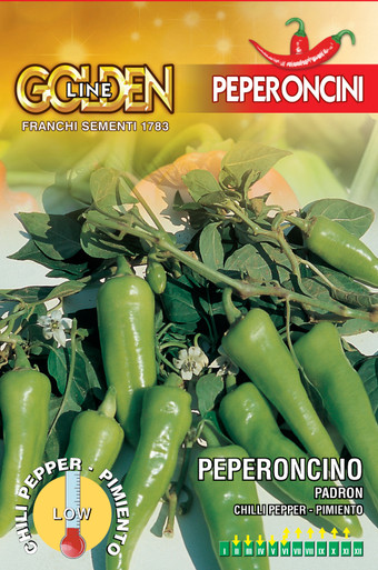 Chilli Pepper Pimiento de ‘Padron’ - Capsicum annuum