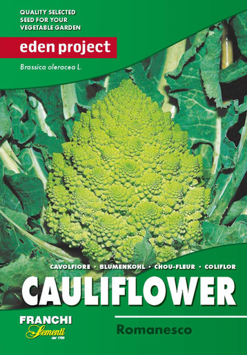 Cauli Romanesco