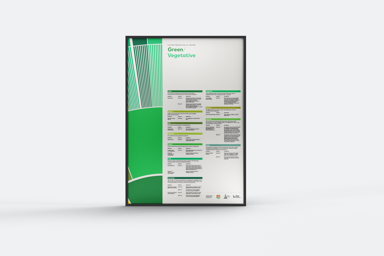 SCA FLAVOUR PERCEPTION IN COFFEE POSTER | GREEN VEG - Espresso Solutions
