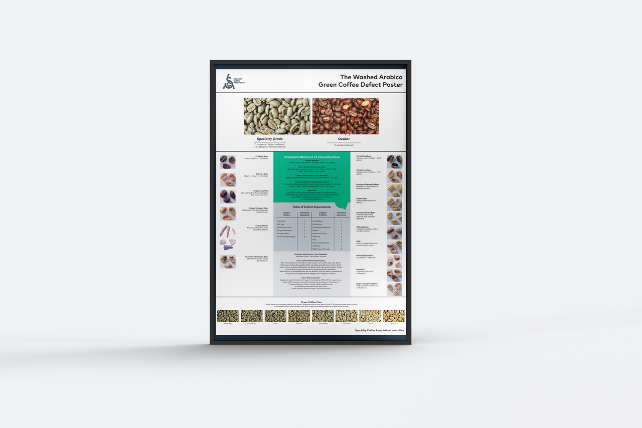 SCA ARABICA POSTER - Espresso Solutions