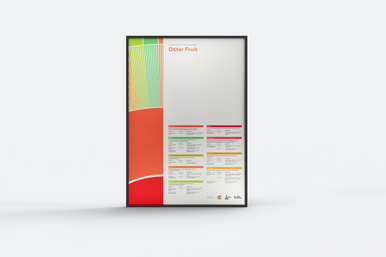 SCA FLAVOUR PERCEPTION IN COFFEE POSTER | OTHER FRUIT - Espresso Solutions