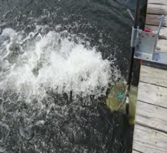 Power House Dock Mount