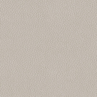Pebble