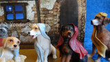 Canine Christmas Pageant Dog Nativity Set - Yonder Star Christmas Shop LLC