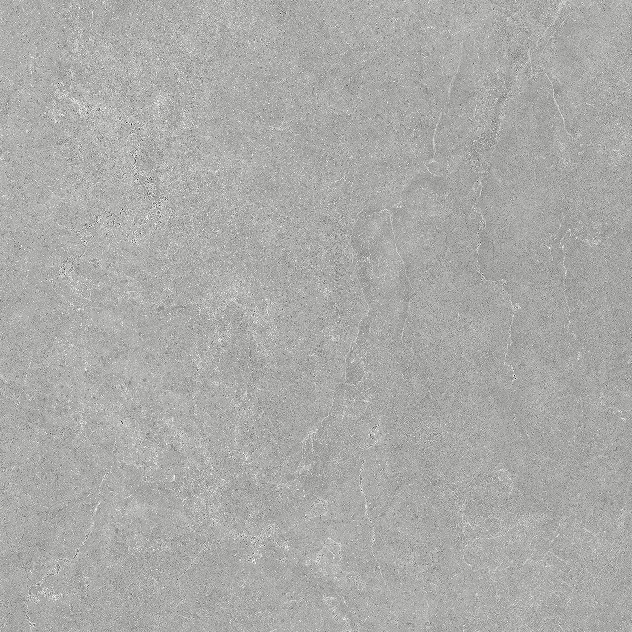 Venus Stone Medium Grey Matt 60 | Floor and Wall Tiles | Tile Space