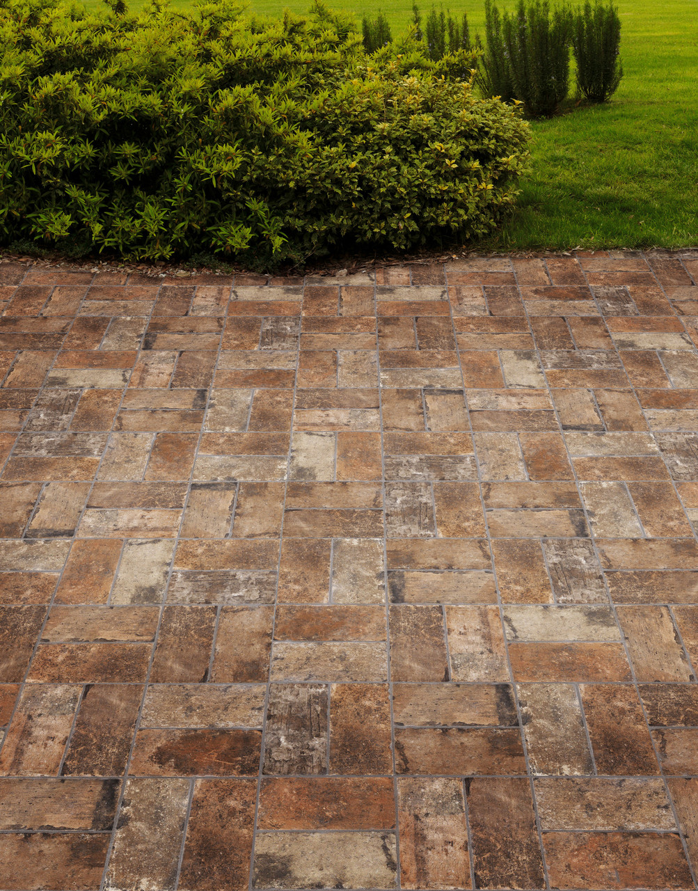 N.Y. Chelsea Matt 10x20 | Floor and Wall Tiles | Tile Space