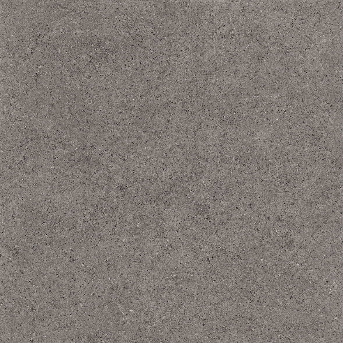 Dijon Grigio Matt 60 - Tile Space