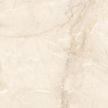 Sybil Black Matt 60x120 | Floor and Wall Tiles | Tile Space