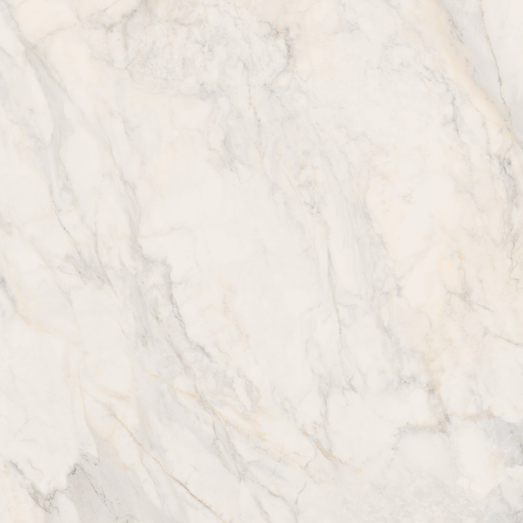 Apuano Oro Matt 60 | Floor and Wall Tiles | Tile Space