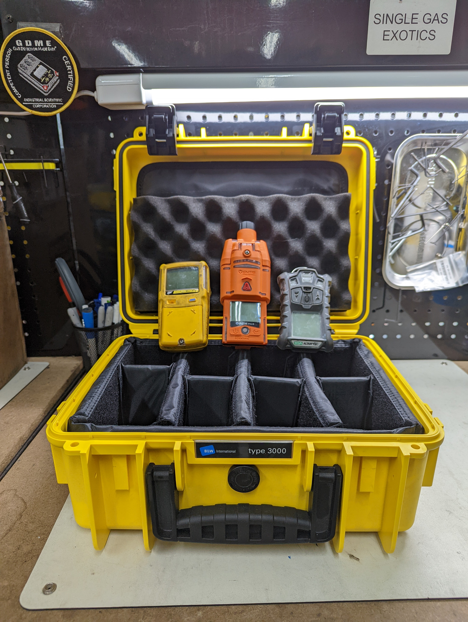 MiniRAE 3000 6" Flexible Inlet Probe Page