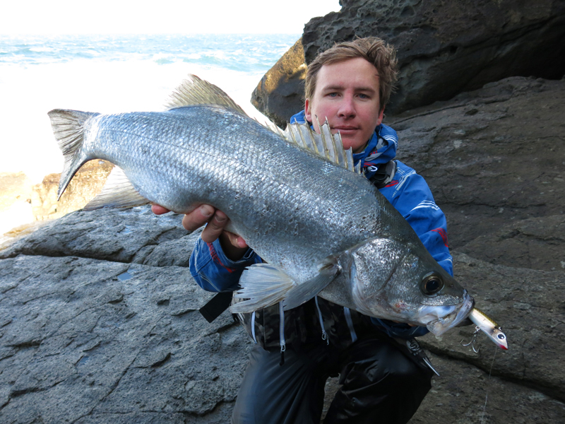 Sea Bass- Part 2 - Fish Head