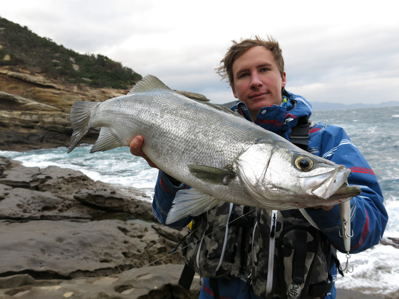 Sea Bass- Part 2 - Fish Head