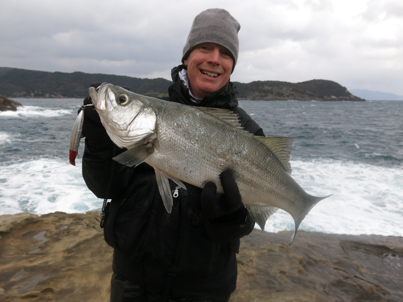 Sea Bass- Part 2 - Fish Head