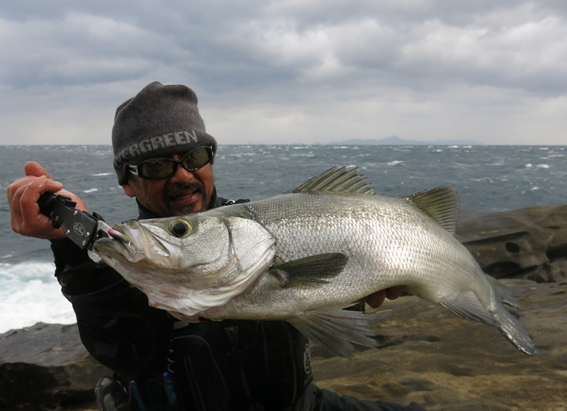 Sea Bass- Part 2 - Fish Head