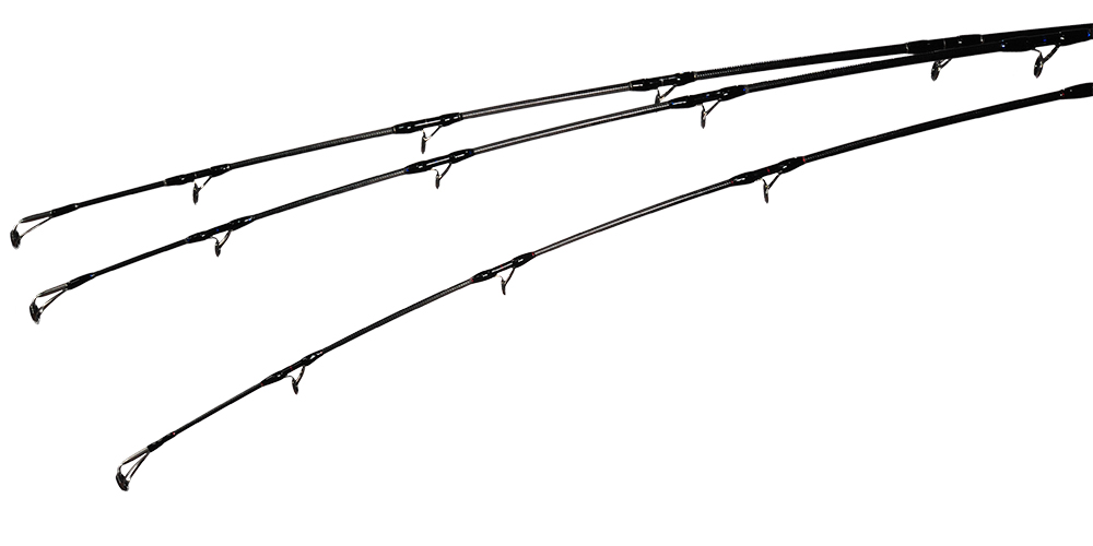 LIGHT TACKLE ROD REVIEW!! - Fish Head