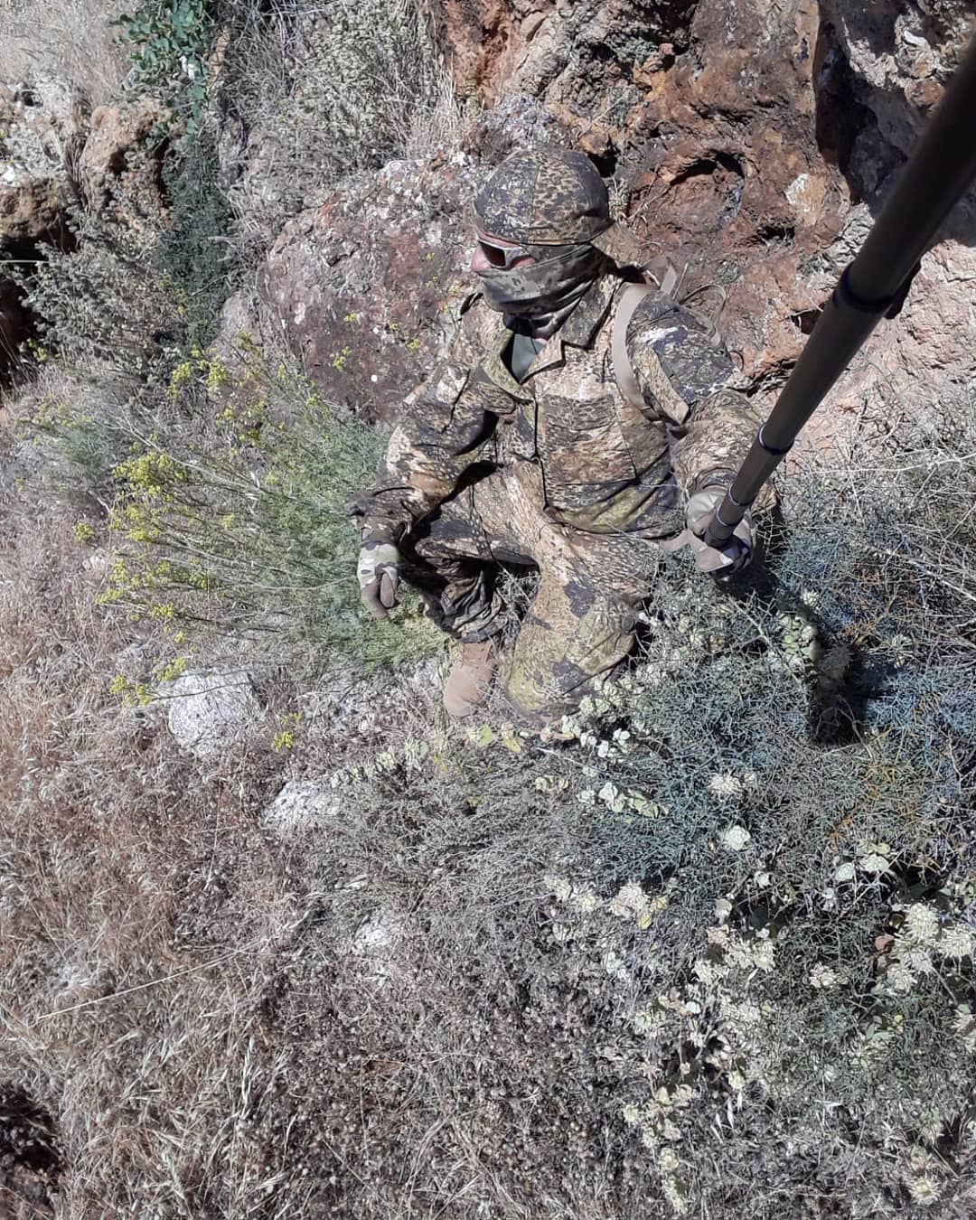 This weeks Restocked Items - Hessen Antique