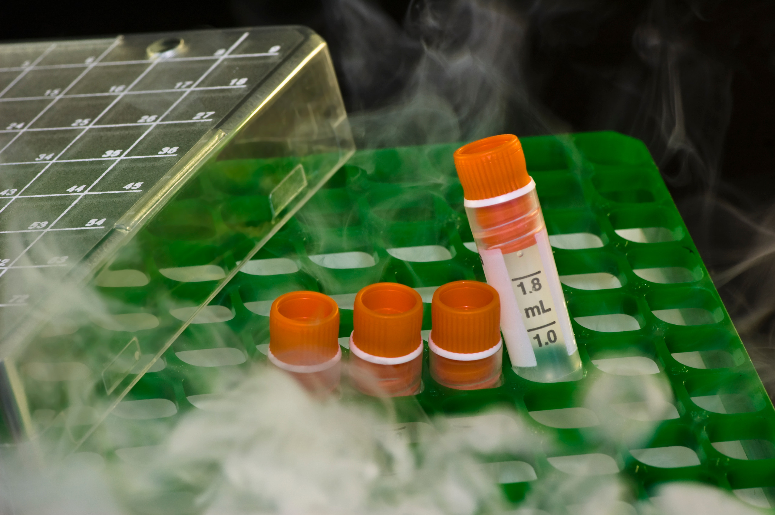 ISBER’s Best Practices for Cryogenic Storage of Samples and Biobanks ...