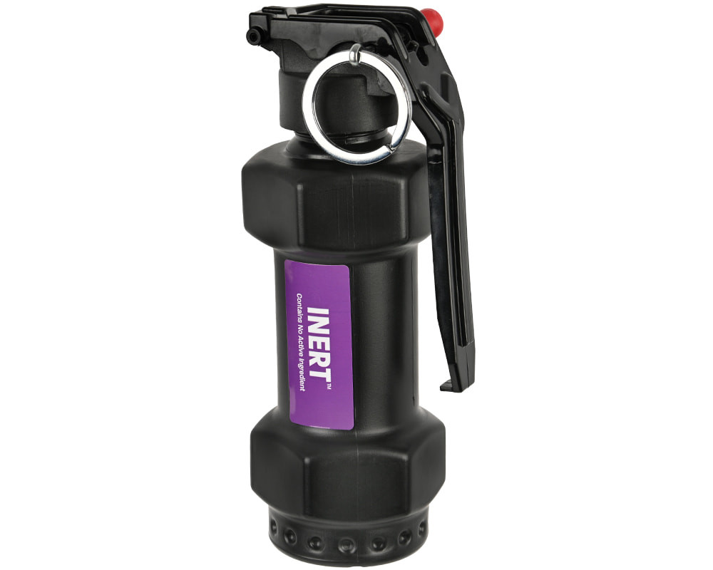 PepperBall Home Defense Guns