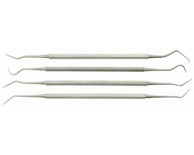 Enkay 4 Pack Dental/Oring Pick Kit - ANSgear.com
