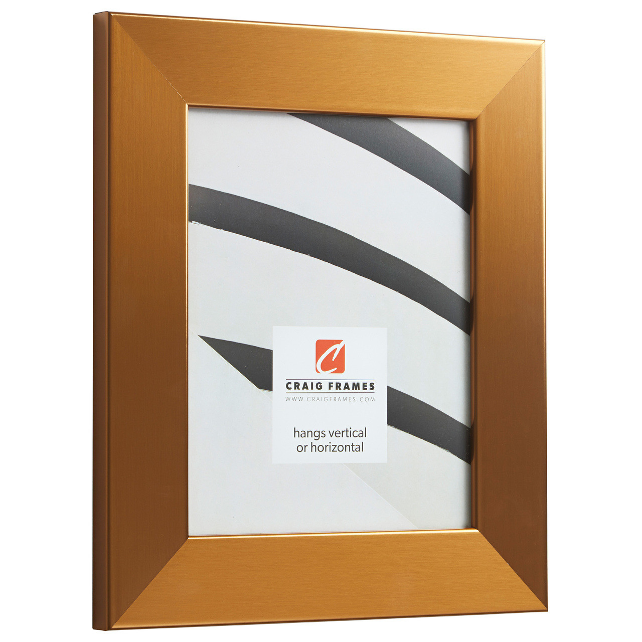 Bauhaus 200 Stainless Brass Picture Frame - Craig Frames