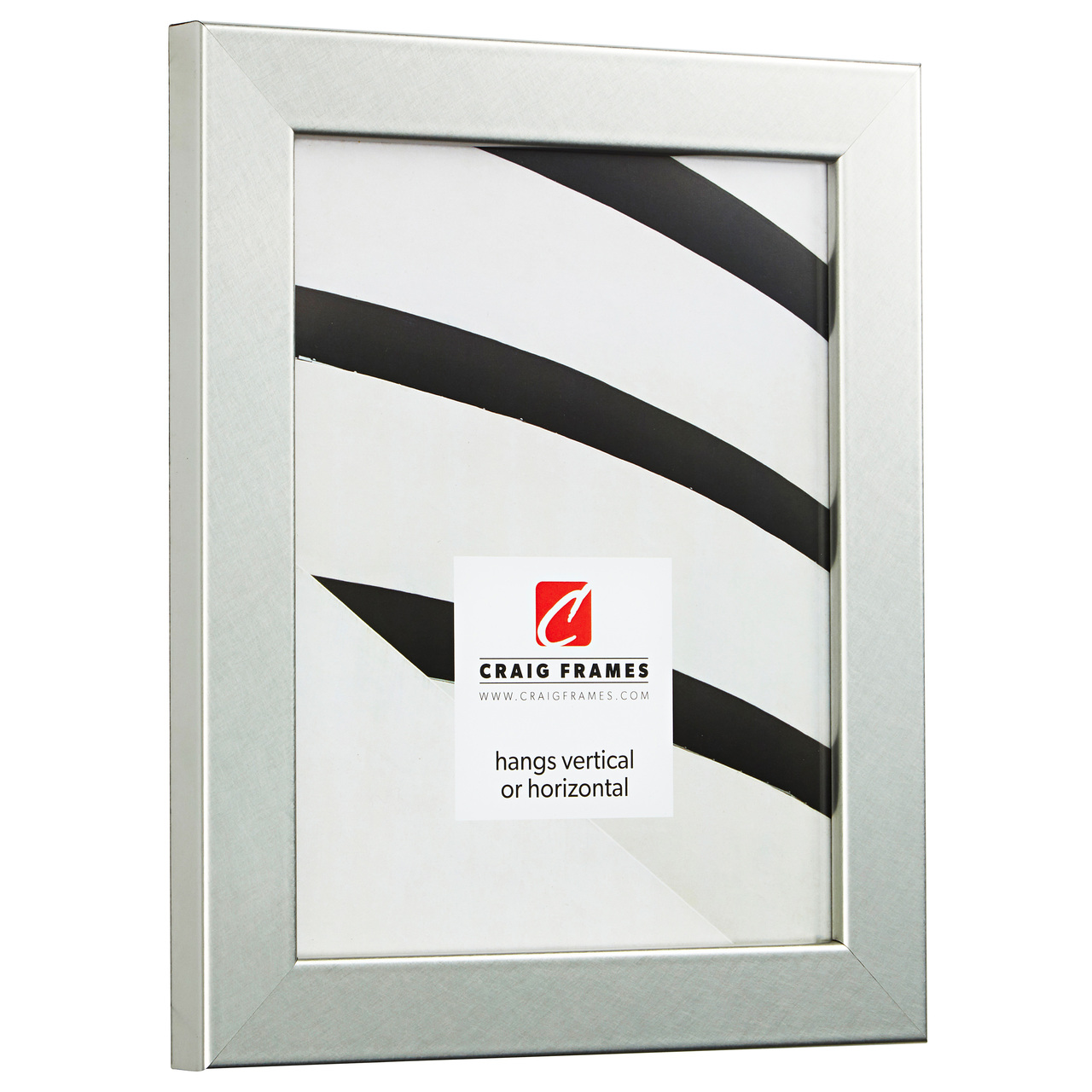 brushed silver wall frames