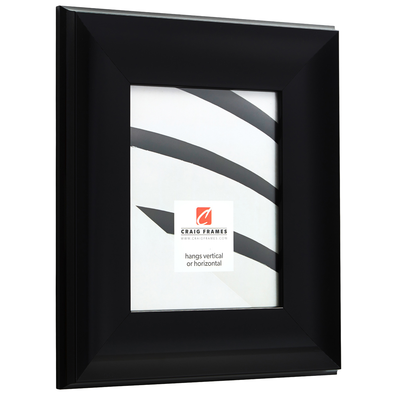 Roxy Modern Obsidian Black Picture Frame - Craig Frames