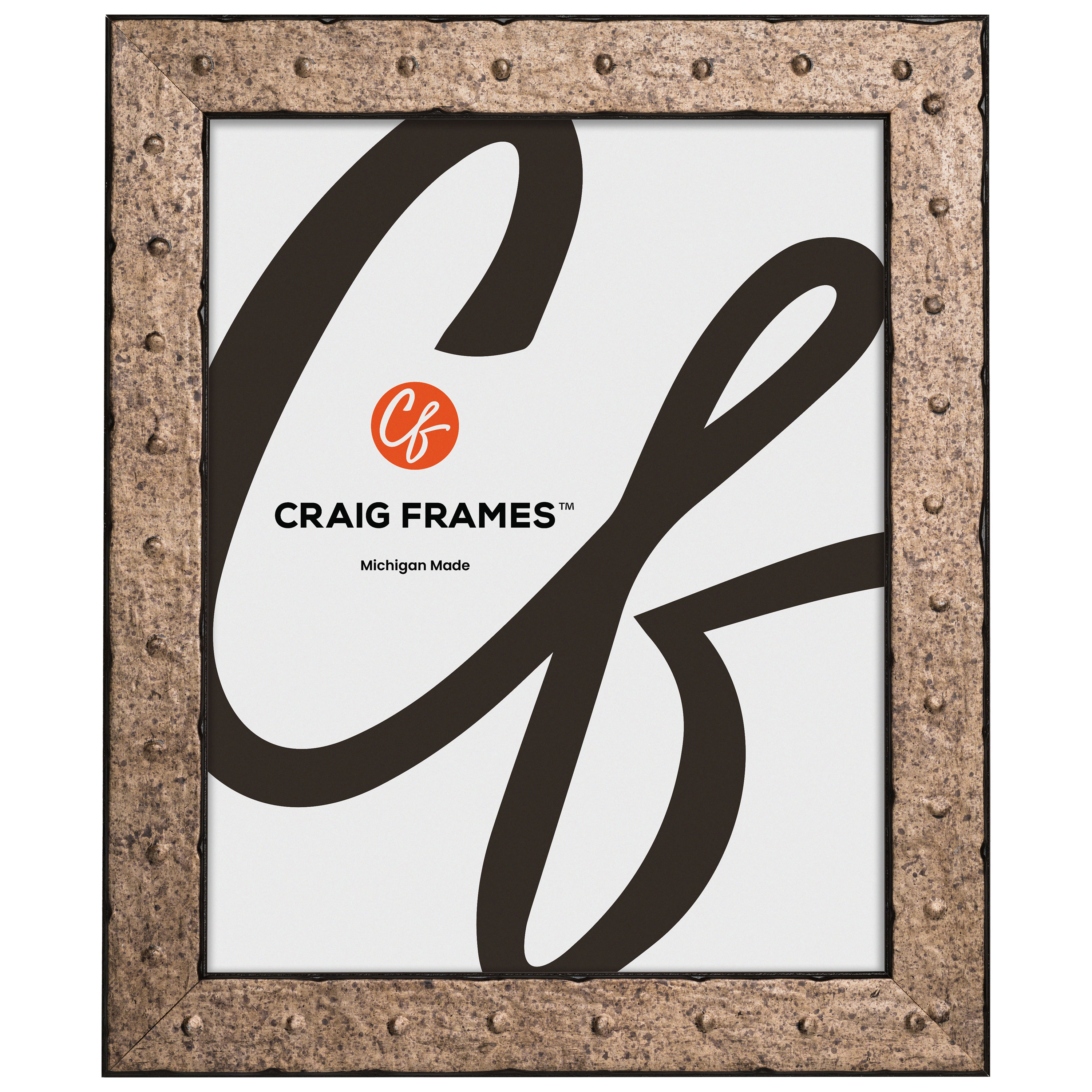 Rivet Pitted Steel Picture Frame - Craig Frames